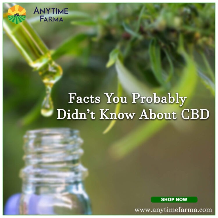 Facts You Probably Didn't Know About CBD - Anytime Farma